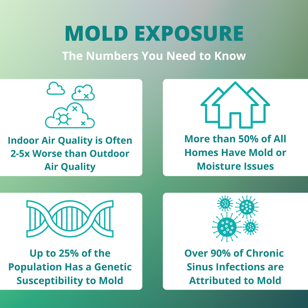Mold Exposure: The Numbers You Need to Know - Genesis Healthy Homes
