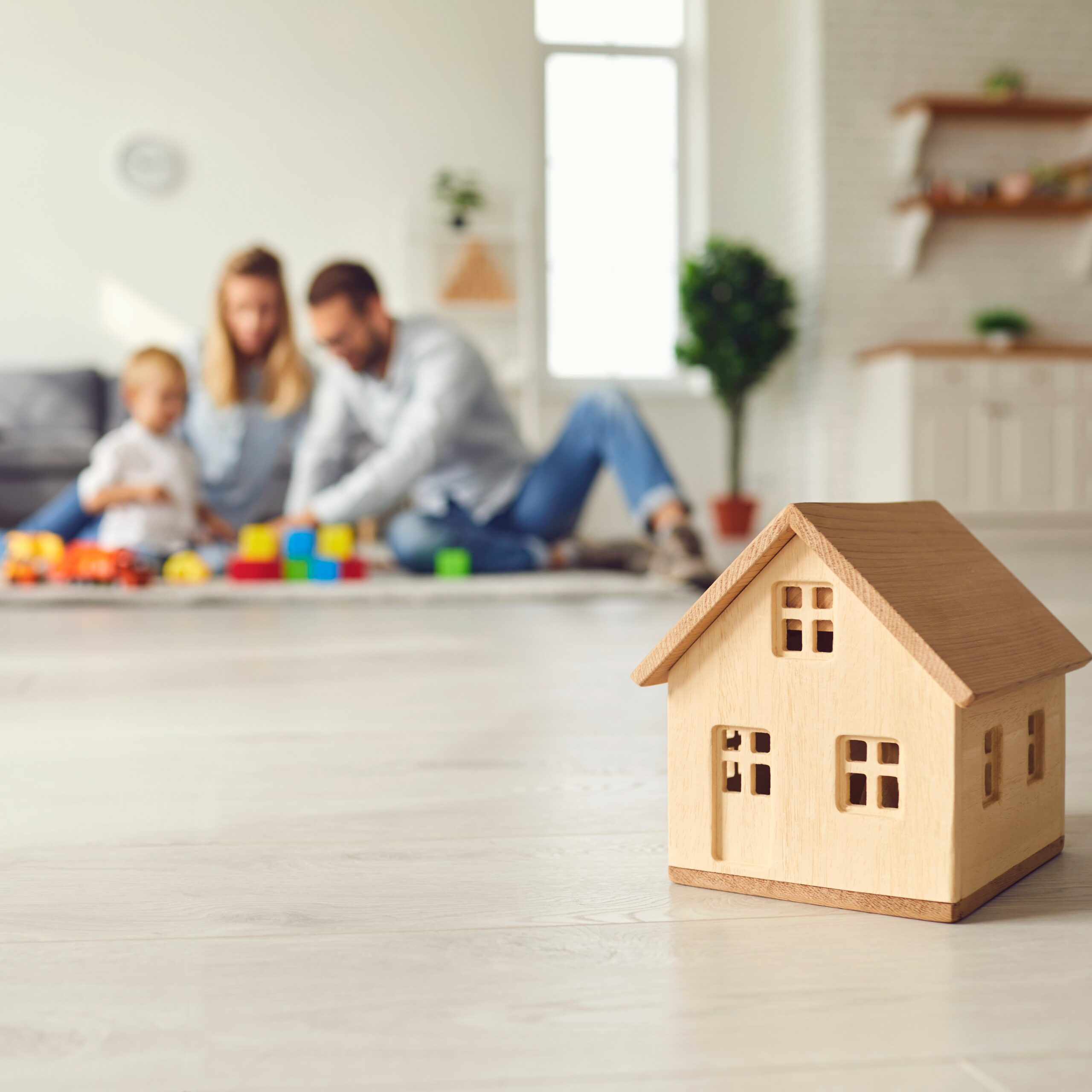 Mold Remediation Case Study - Genesis Healthy Homes
